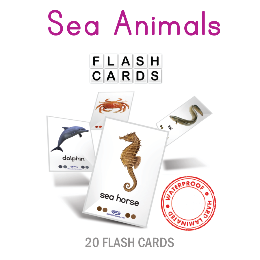 Sea Animals Flash Cards - Kidco – FortBrands.pk