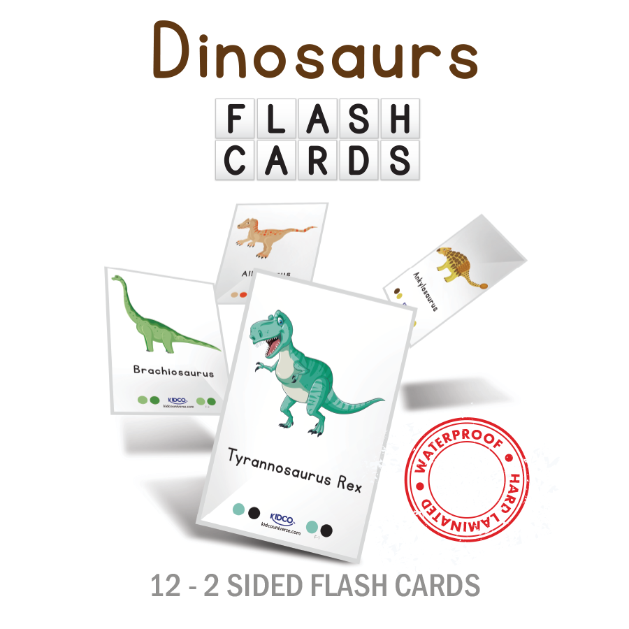 Dinosaurs Flash Cards - Kidco – FortBrands.pk