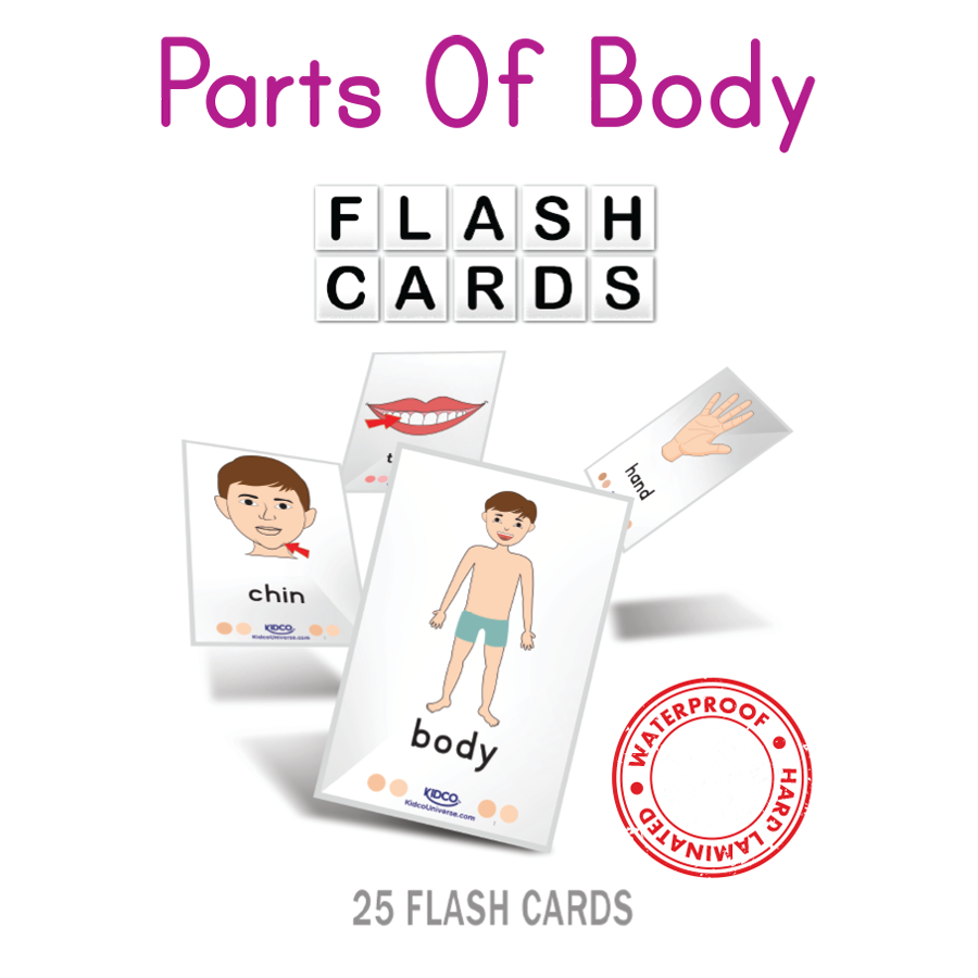 Parts of Body Flash Cards - Kidco – FortBrands.pk